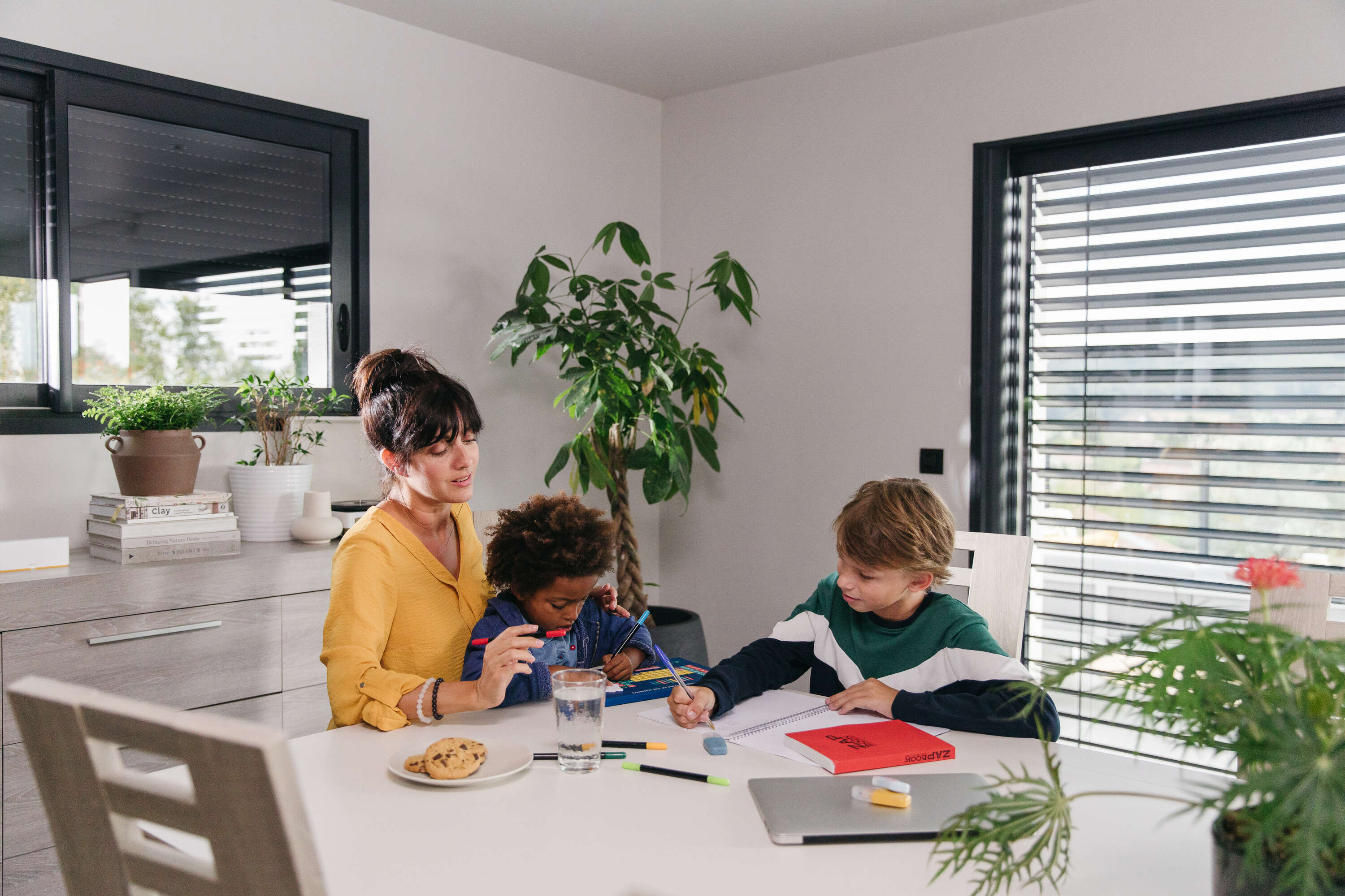 Glydea Ultra module Zigbee | Somfy